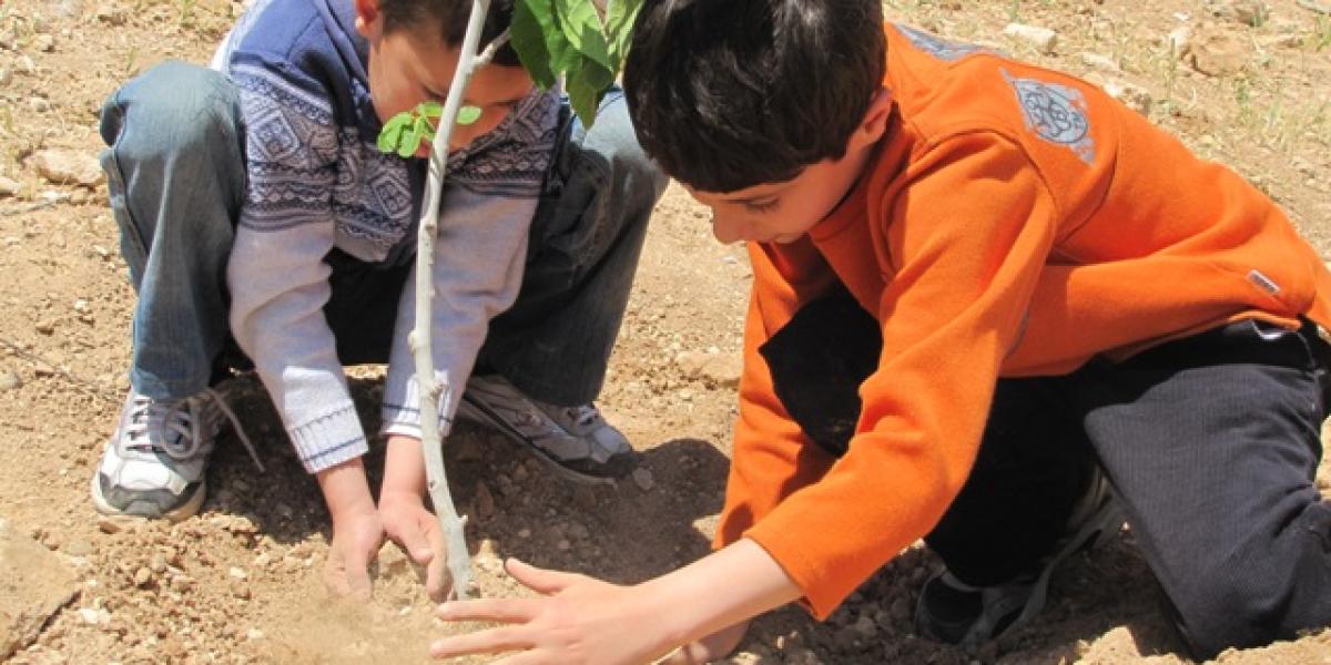 APN has organized a campaign to plant 1,000 trees in a park in Karak ...