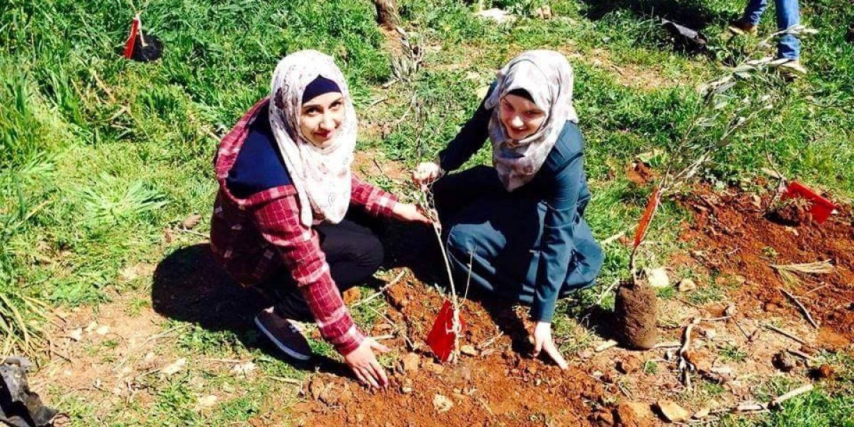 Olive Tree Saplings Planted in Jerusalem Honoring Palestinian Martyrs ...